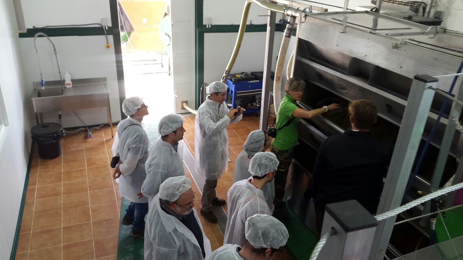 Curso maestro de almazara cómo montar una almazara | Oleoturismo ...